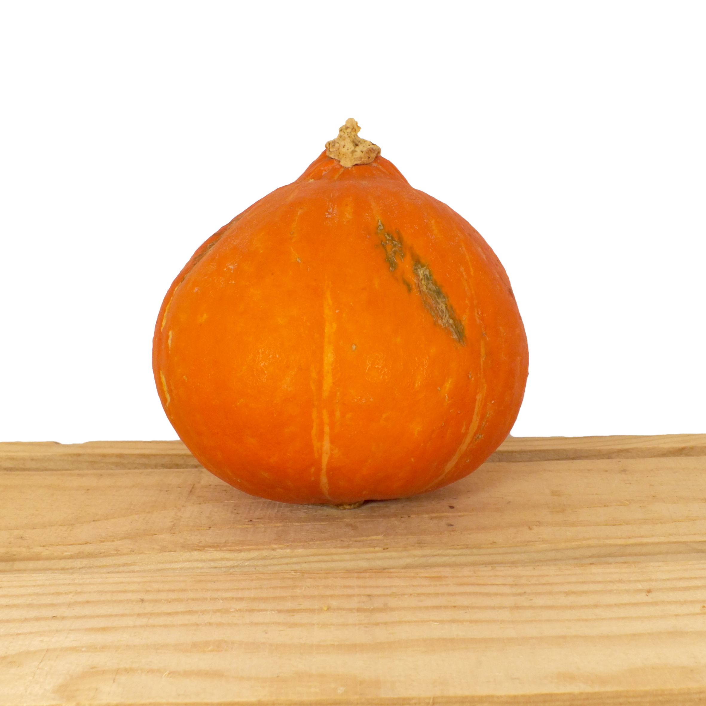 Potimarron - Les vergers de Sainte Quitterie